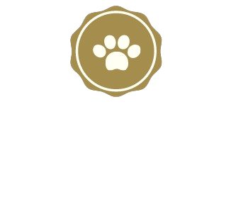 Guia para CUIDAR e EDUCAR filhotes de cães e gatos. - Expert Pets | Hotmart